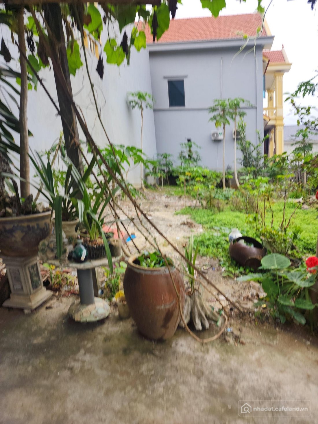 Bán đất thổ cư: Chính chủ gửi e lô đất Dương Quan. Cách trung tâm hành ...