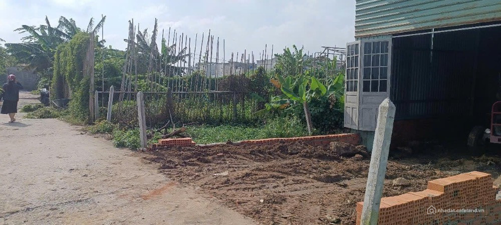 Đất đường ô Tô Thông, Bình Mỹ, Củ Chi, 8,5x12,5m, 550tr | Vị trí bản đồ ...